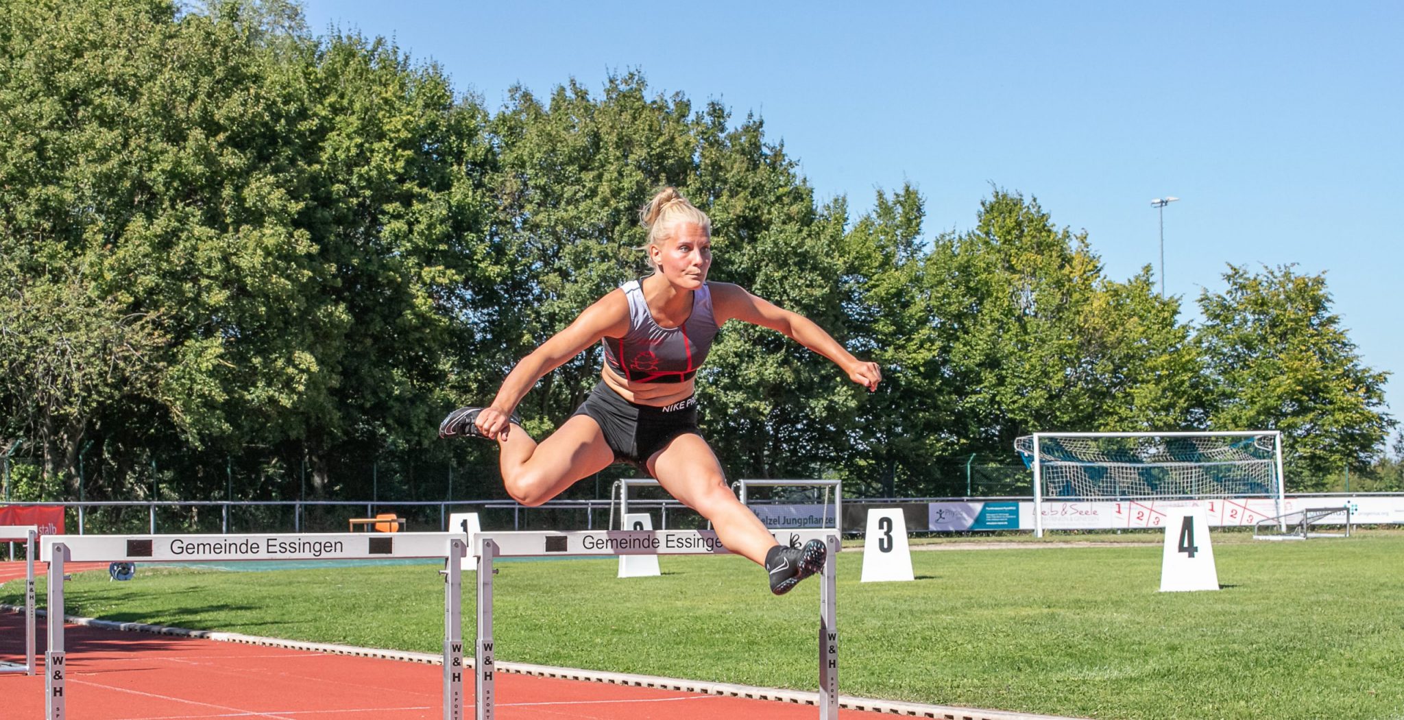 LAC Essingen blickt auf eine erfolgreiche Leichtathletiksaison zurück - LAC Essingen